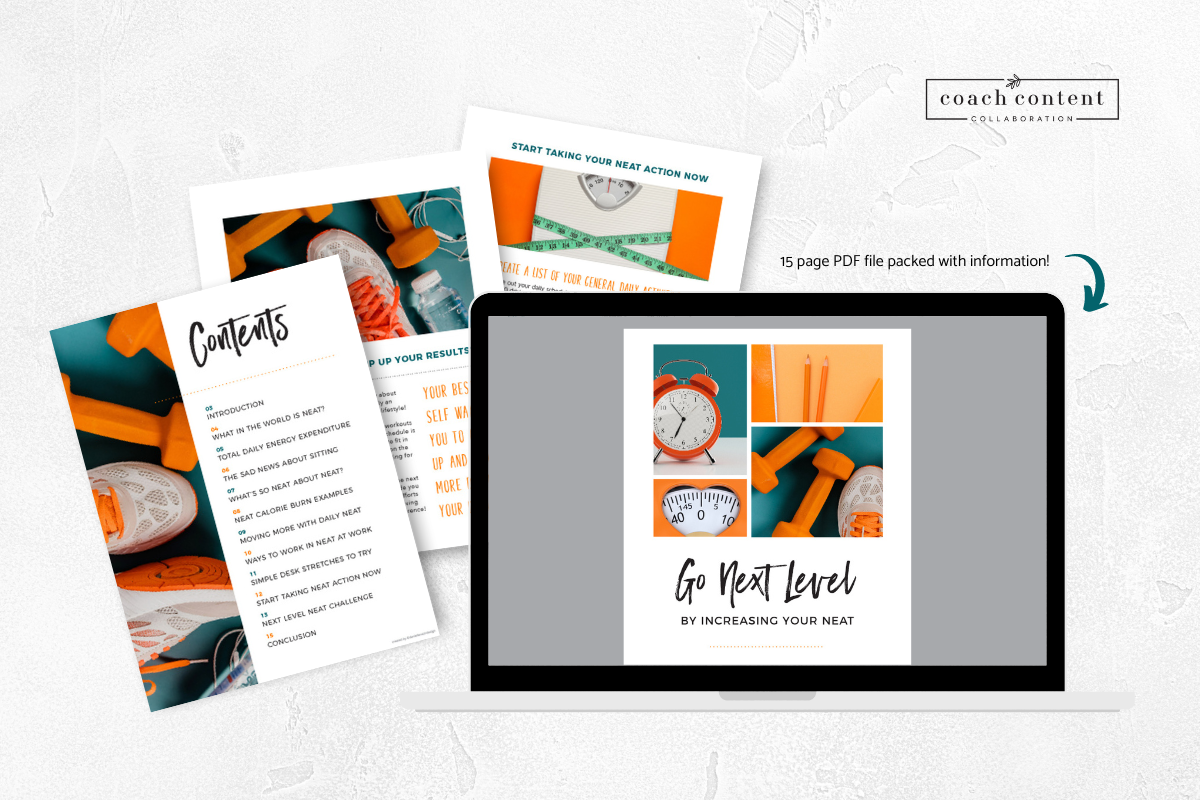 Go Next Level With NEAT Guide